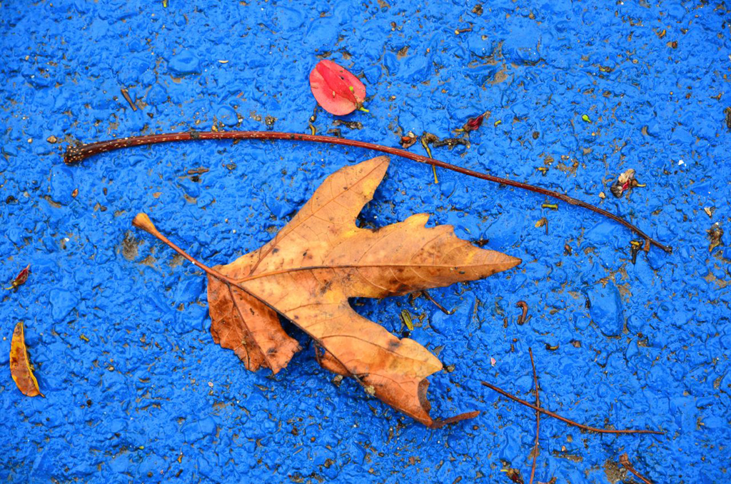 ABBA RICHMAN – Photography Magazine – Lens Magazine