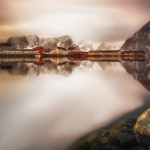 Wildlife and Nature Photography - Photography Magazine - Lens Magazine