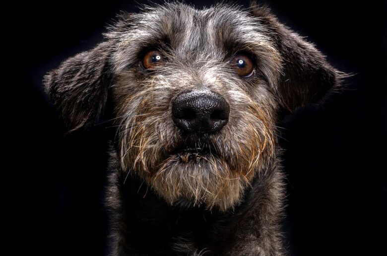 Peter Coulson | An Exclusive Interview - Photography Magazine - Lens ...