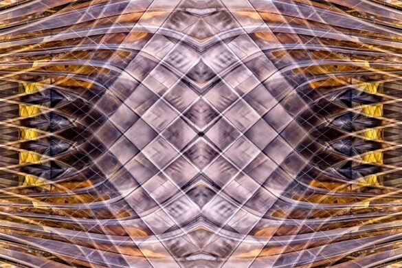 TIM TADDER | An Exclusive Interview - Photography Magazine - Lens Magazine